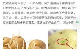 发芽的土豆吃了有什么症状_中毒后怎么办