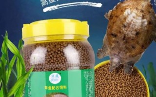 甲鱼吃什么饲料_甲鱼饲料怎么选