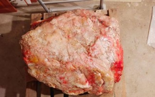 鸡血石原石多少钱一克_鸡血石原石价格影响因素