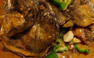 胖头鱼头怎么炖好吃_胖头鱼头炖多久最嫩