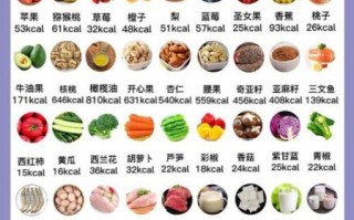 食物大全表_哪些食物适合减肥