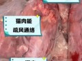 煮猫肉放什么配料好吃_猫肉去腥增香技巧