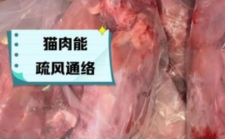 煮猫肉放什么配料好吃_猫肉去腥增香技巧