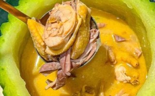 冬瓜炖鸡的做法大全_冬瓜炖鸡怎么炖才不腥