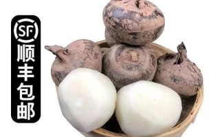 马蹄果和荸荠一样吗_马蹄果和荸荠的区别