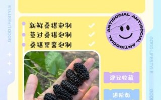 男人喝桑椹酒的功效与作用_男人喝桑椹酒能壮阳吗