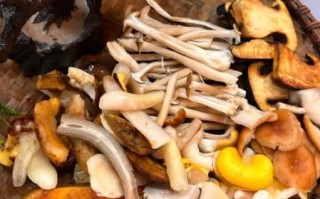 清淡的火锅底料怎么做_家庭版清汤锅做法