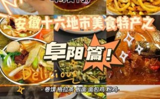 安徽阜阳十大特产有哪些_阜阳必买伴手礼推荐