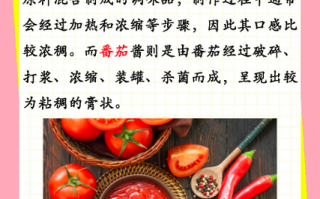 番茄酱和番茄沙司的区别_哪个更健康