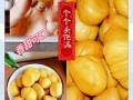 新鲜板栗怎么煮好剥皮_板栗煮多久好剥皮