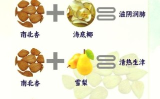 杏仁的功效与作用_每天吃多少才健康