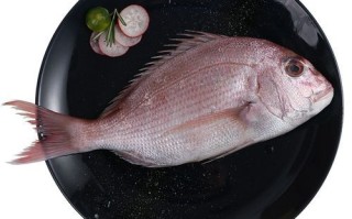 加吉鱼是海鱼吗_加吉鱼产地在哪里