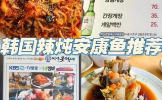 韩式辣炖安康鱼怎么做_安康鱼去腥技巧