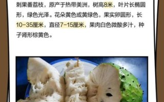 刺果番荔枝多少钱一斤_刺果番荔枝价格行情