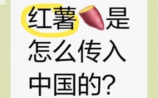 洋芋是什么时候传入中国的_传入路线与历史节点