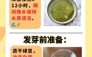 家庭黄豆芽怎么发_黄豆芽发芽温度是多少