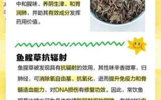 鱼腥草泡水喝的功效_鱼腥草泡水能天天喝吗