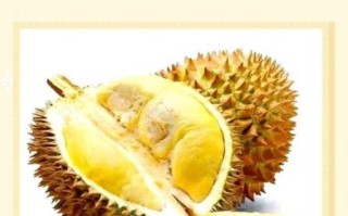榴莲能放冰箱吗_榴莲放冰箱会不会坏