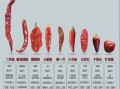 辣椒辣度排行榜_哪种辣椒最辣