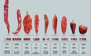 辣椒辣度排行榜_哪种辣椒最辣