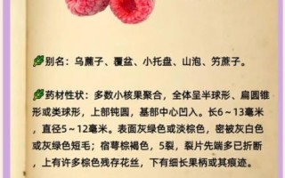 覆盆子有毒副作用吗_覆盆子吃多了会怎样