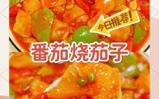 西红柿炖茄子怎么做_西红柿炖茄子家常做法