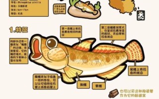 鰕虎鱼怎么养_鰕虎鱼吃什么