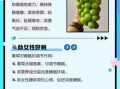 女性吃葡萄的好处和坏处有哪些_葡萄对女性的影响