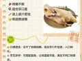 老鹅肉的功效与作用_老鹅肉适合什么人吃