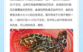 十大名贵石斑鱼有哪些_价格为什么那么高
