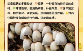 草菇尽量少吃最好不吃_草菇吃多了有什么危害
