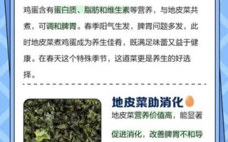 地皮菜的营养价值_地皮菜的功效与作用