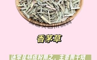 香草的功效与作用_香草有哪些药用价值