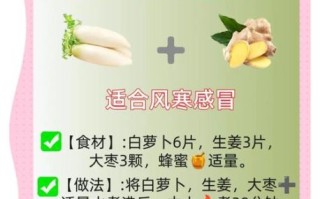 萝卜的功效与作用_萝卜的禁忌有哪些 萝卜的功效与作用_萝卜的禁忌有哪些