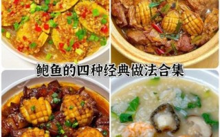 鲍鱼捞饭股票技巧_新手如何快速上手