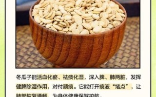 冬瓜子仁的毒副作用_冬瓜子仁吃多了会怎样