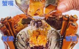 螃蟹怎么吃图解_螃蟹哪里不能吃