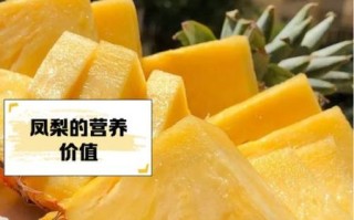 菠萝的功效与作用及食用方法_菠萝怎么吃不上嘴