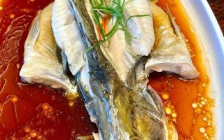 鳇鱼图片_鳇鱼长什么样