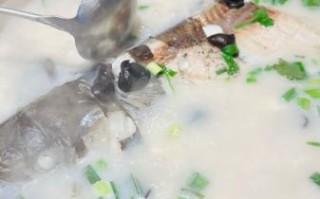 清汤江团鱼怎么做_江团鱼炖汤技巧