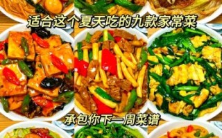 夏天一周菜谱家常菜_夏天吃什么菜开胃又简单