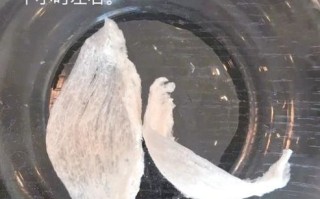 如何炖燕窝_燕窝怎么炖才软糯不腥