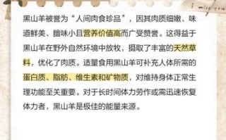 黑山羊养殖技术_黑山羊品种选择