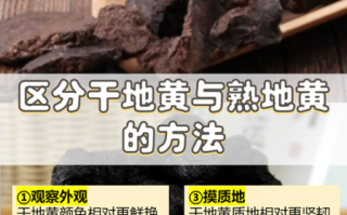 地黄的功效与作用_鲜地黄与干地黄区别