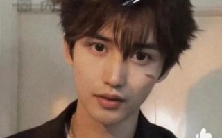 茄子年轻帅照哪里看_茄子早年颜值巅峰照片