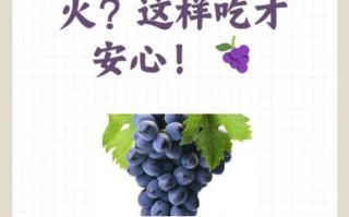 葡萄上火还是降火_吃葡萄会上火吗