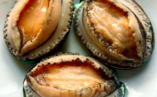 鲍鱼怎么做好吃_鲍鱼的家常做法窍门