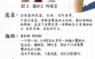 虎皮兰风水寓意_虎皮兰摆放禁忌