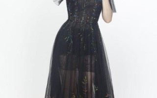 黄金单身汉女嘉宾是谁_她们靠什么圈粉