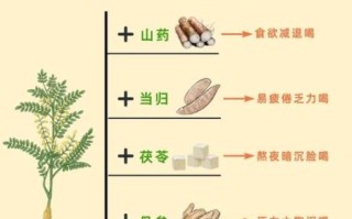 黄芪的功效与作用主要治什么病_黄芪适合哪些人群